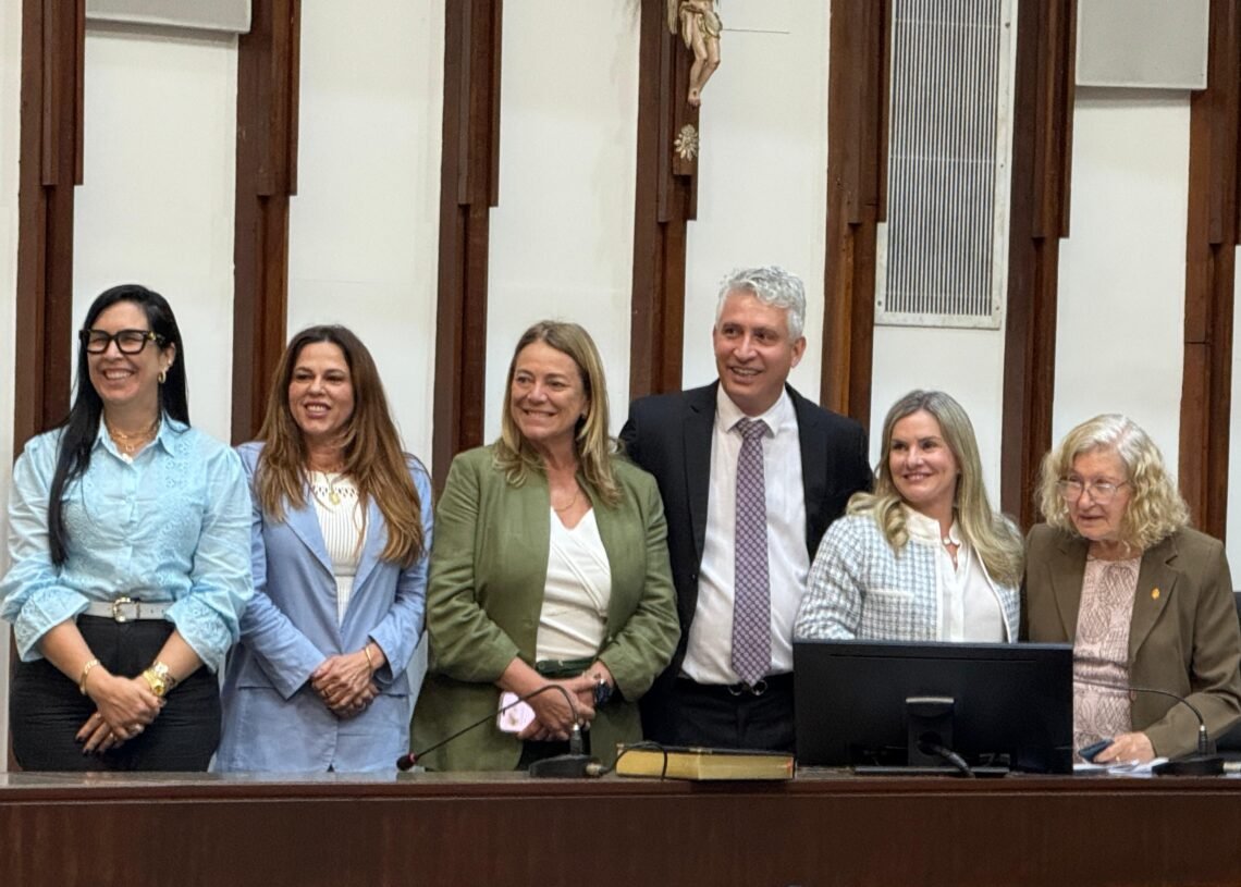 Brazilian Nickel apresenta avanços e metas do Projeto Piauí Níquel em ...