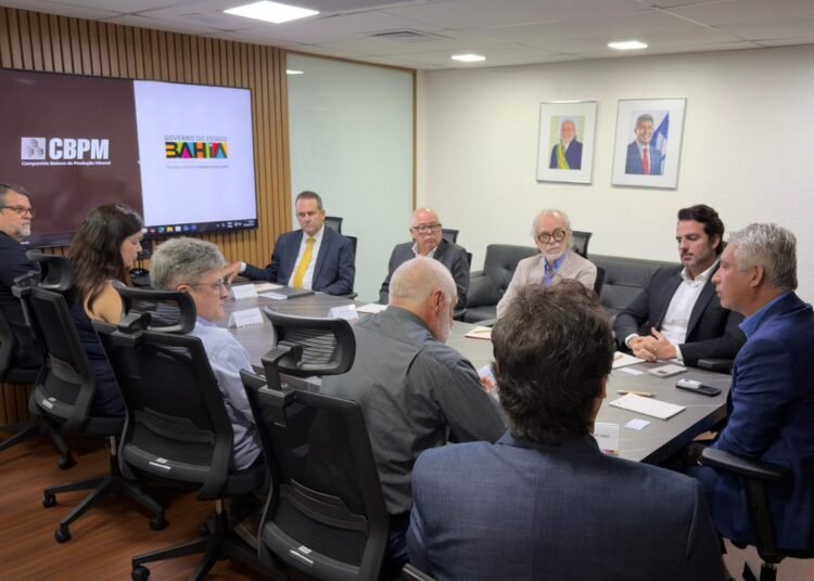 Brazilian Nickel pode receber meio bilhão de dólares em investimento ...